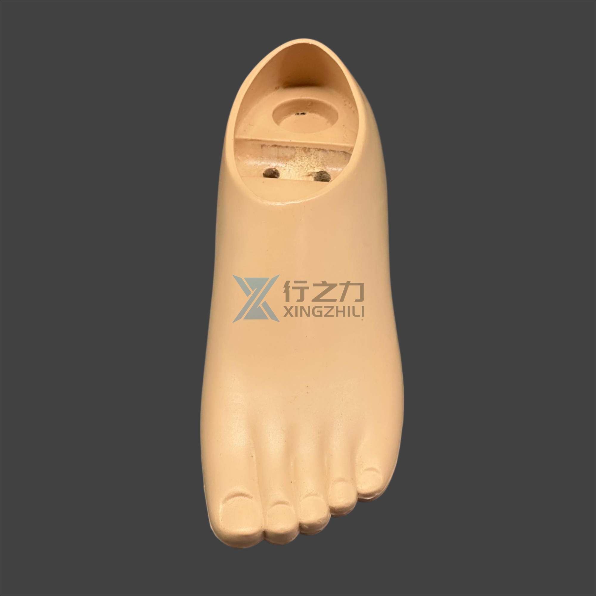 1S03 Single Axis Foot with double hole | Polyurethane Foot