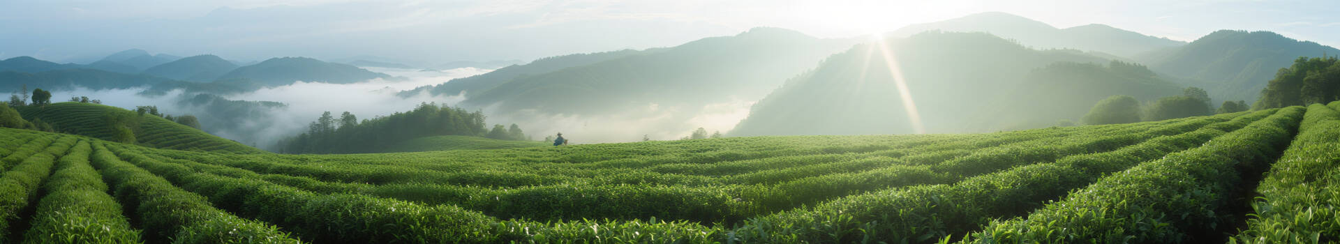 Rotary Dehumidifier | professional humidity control solutions ...