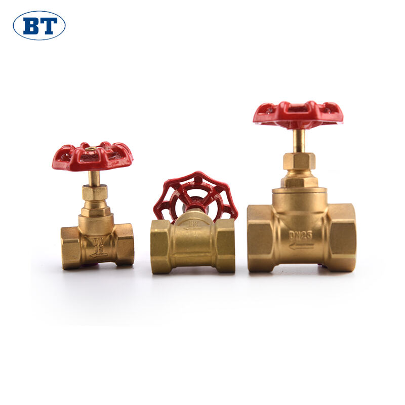 1 2 Inch Globe Valve | High-Quality Brass Valves for Global Markets