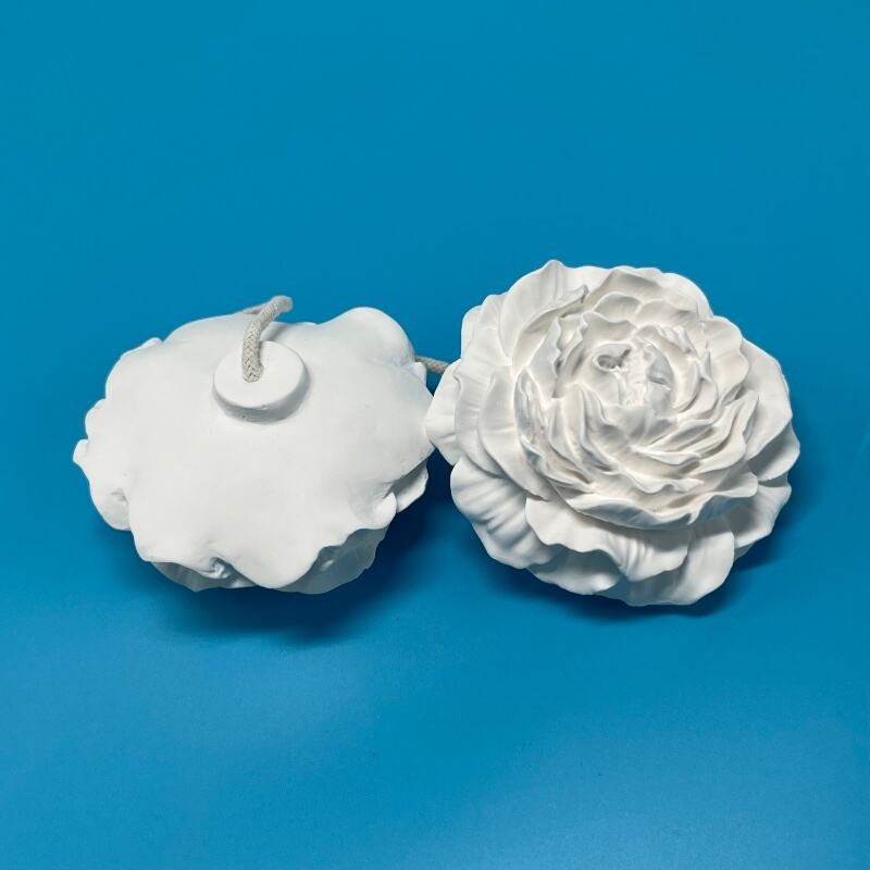 Custom Industrial Ceramics & Ozone Generators | Lianyungang Highborn