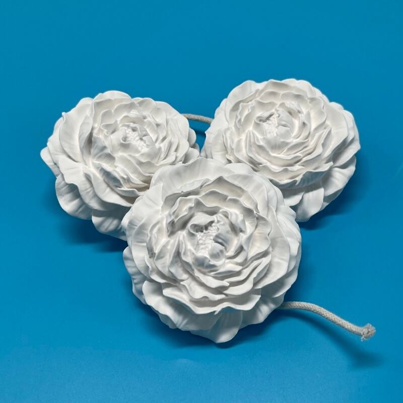 Custom Industrial Ceramics & Ozone Generators | Lianyungang Highborn