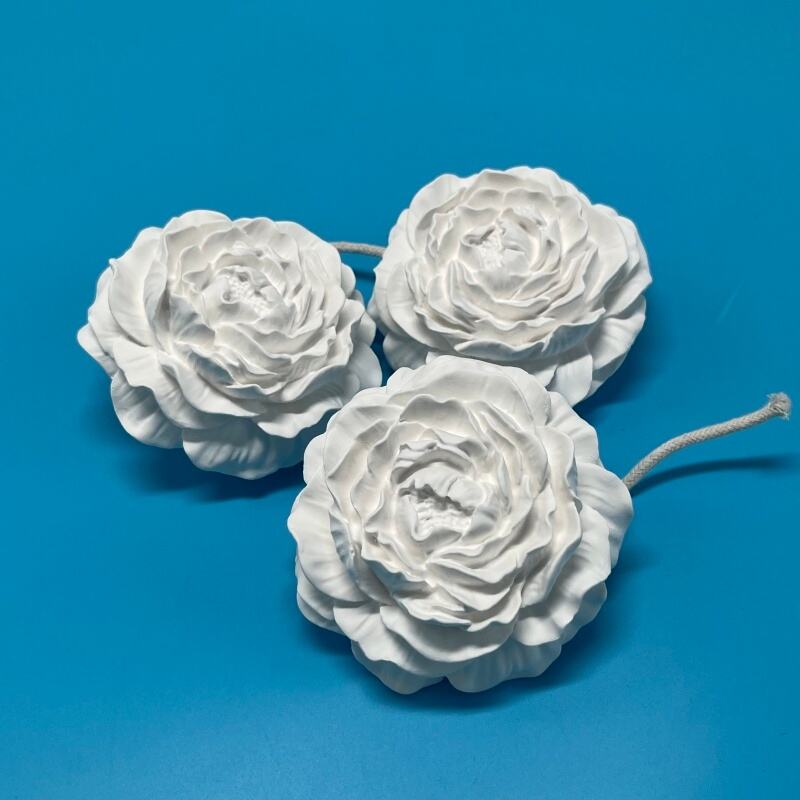 Custom Industrial Ceramics & Ozone Generators | Lianyungang Highborn