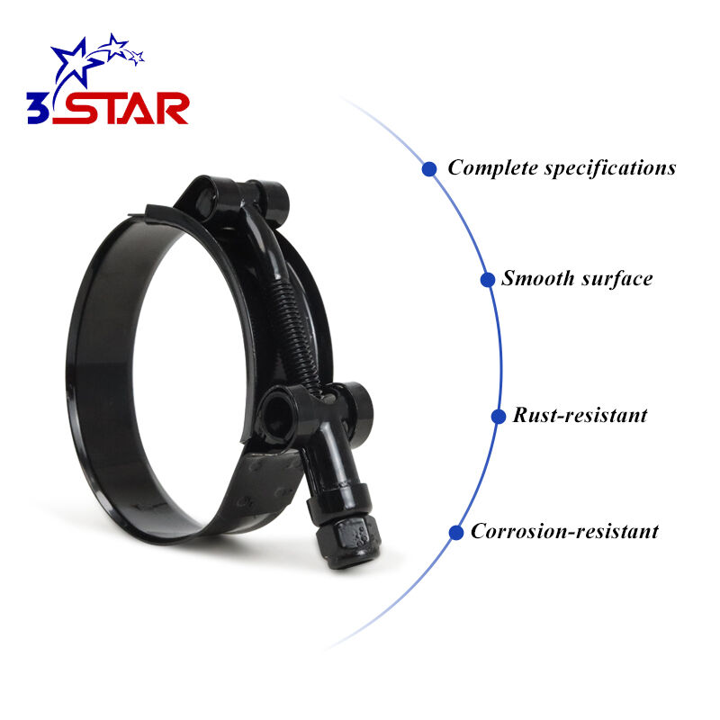 T Type Electrophoretic black Pipe Clamp, China T Type Electrophoretic ...