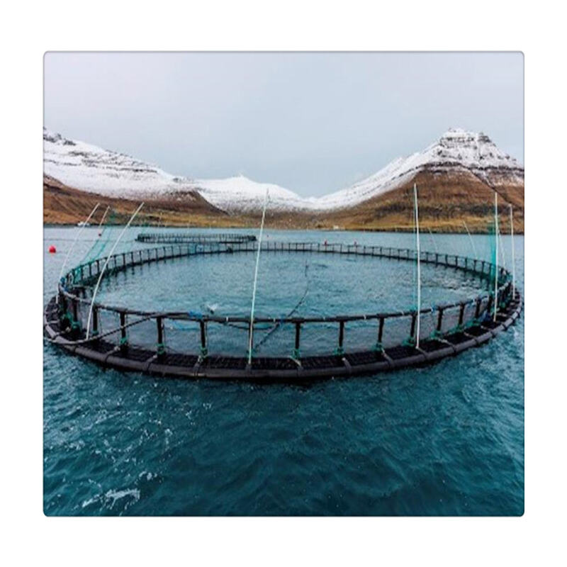 HDPE Pipe for Aquaculture Cages – Storm-Resistant, UV-Stable Floating ...