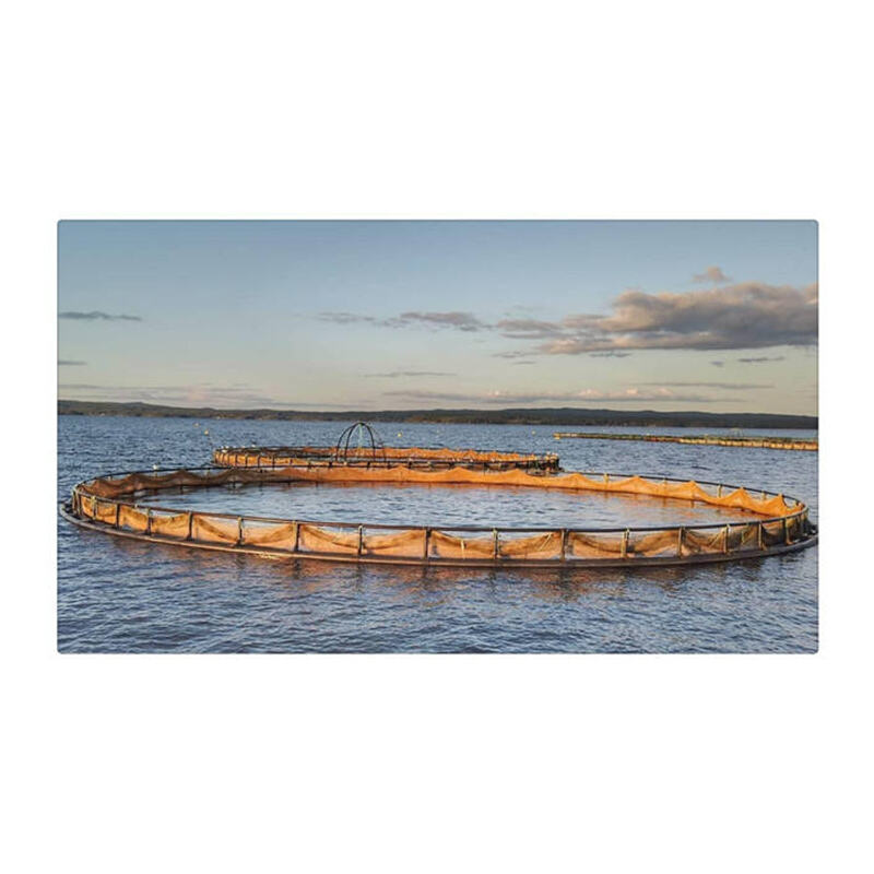 HDPE Pipe for Aquaculture Cages – Storm-Resistant, UV-Stable Floating ...