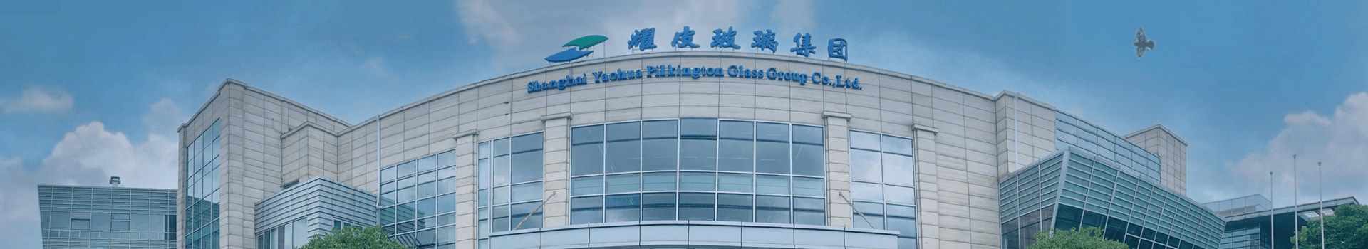 Automotive Glazing Glass（AGR） | professional glass manufacturing ...