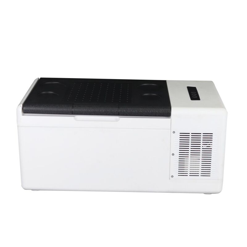 Sophisticated technology Dc Compressor Cooler Box Mini Freezer Car ...