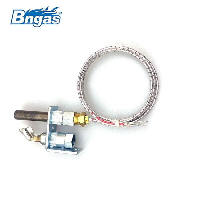 Replacement Pilot Assembly BN2212, China Replacement Pilot Assembly ...