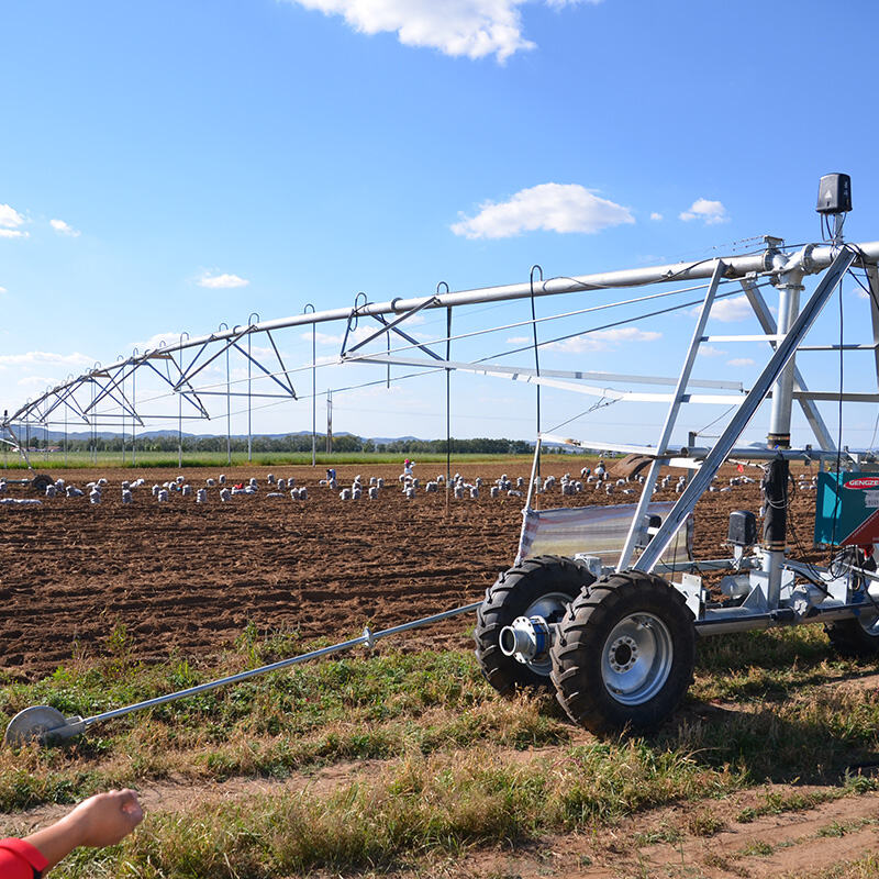 High Efficiency Linear Pivot Irrigation System , China High Efficiency ...